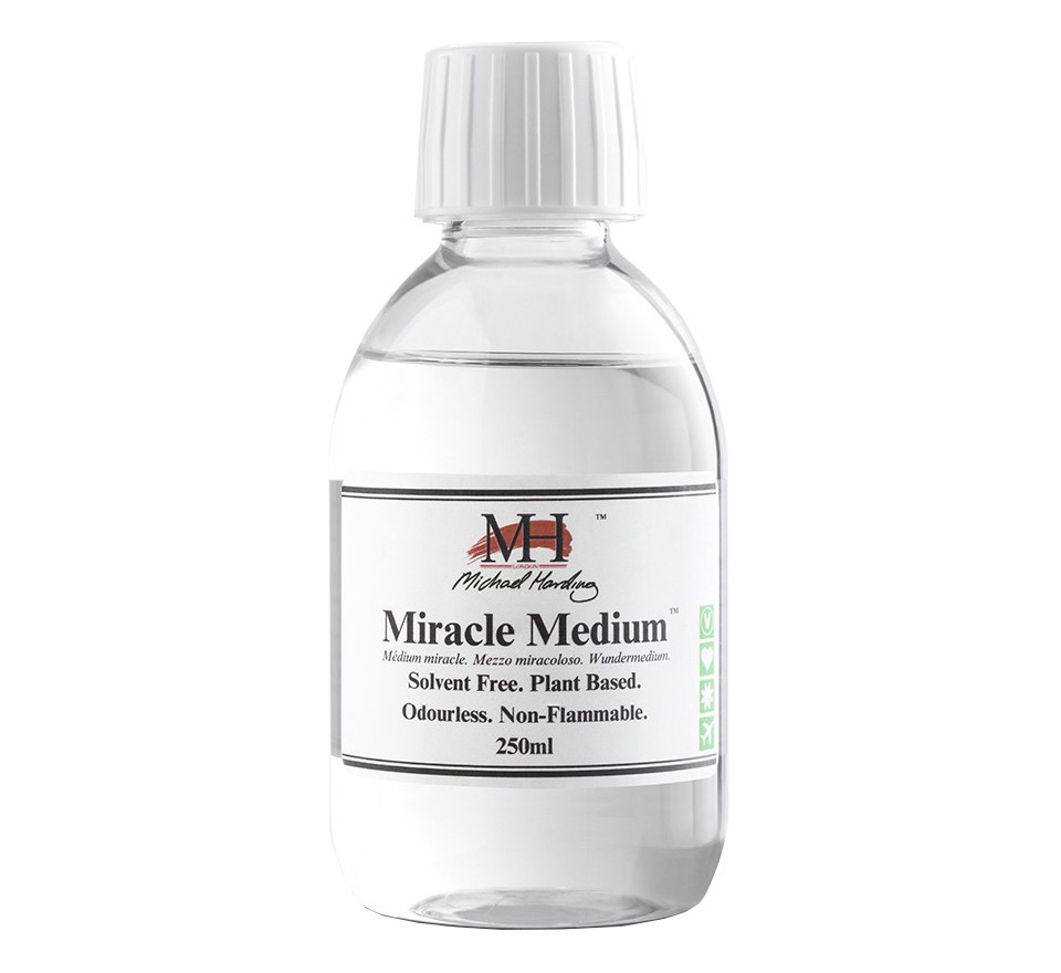 Michael Harding Miracle Medium