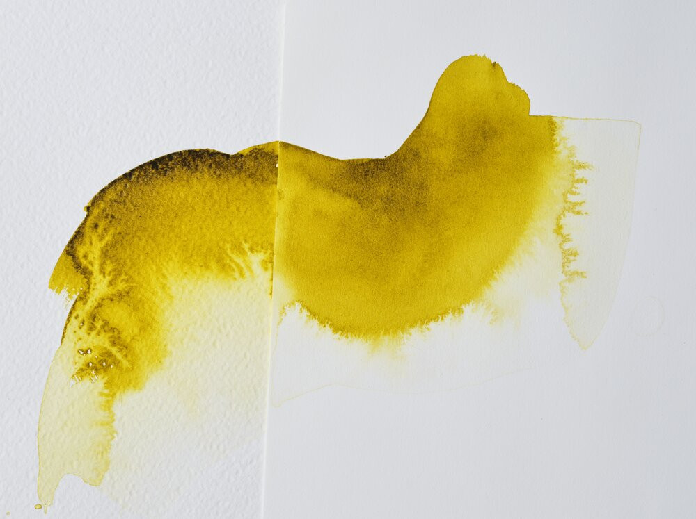 Winsor & Newton Ox Gall Liquid Medium - Watercolour Mediums ...